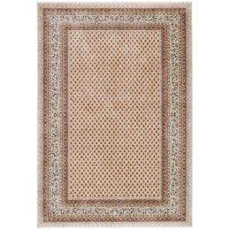 Theko Teppich &raquo;Mir&laquo; rechteckig 10 mm H&ouml;he Kurzflor, Orient-Optik, mit Bord&uuml;re & Fransen, pflegeleicht bunt Polyester B : 80cm 1 Stk., 10mm, L: 150cm