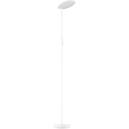 NOVA LUCE Stehlampe &raquo;NOTOS&laquo; LED-Modul 1 Stk. Warmwei&szlig; 1, &Oslash; 27cm H: 205cm, 1 Stk.