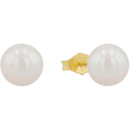 Amor Damen Paar Ohrstecker &raquo;2013428&laquo; Made in Germany - mit S&uuml;&szlig;wasserzuchtperle gold 7mm, Gelbgold 375