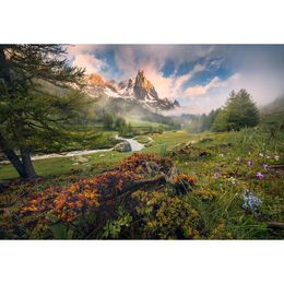 Komar Fototapete &raquo;Morning Walk - Gr&ouml;&szlig;e 368 x 254 cm&laquo; bedruckt glatt Wohnzimmer, Schlafzimmer bunt Vlies B/L: 368m x 254m