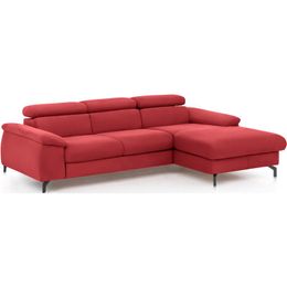 COTTA Ecksofa &raquo;Kitty L-Form, B: 242 cm&laquo; mit Kopfteilverstellung, optional Schlaffunktion & Bettkasten Microfaser (100% Polyester);Flachgewebe (100% 