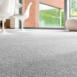 ANDIAMO Teppichboden &raquo;Rubinoy, Schlinge, Gesamth&ouml;he 8,5 mm, Luxusklasse LC2&laquo; rechteckig Breite 400 cm oder 500 cm, Wohnzimmer, strapazierf&auml;hig & robust silber