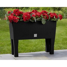 Prosperplast Pflanzk&uuml;bel &raquo;Rato Case High&laquo; BxTxH: 60x25x46 cm schwarz Kunststoff B/H/T: 60cm x 46cm x 25cm