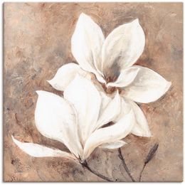 Artland Leinwandbild &raquo;Klassische Magnolien&laquo; Blumen 1 Stk. tlg. auf Holzrahmen gespannt beige B/H/T: 40cm x 40cm, Leinwandbild Blumen, 1 Stk.