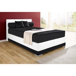 Maintal Boxspringbett &raquo;Lago&laquo; in 3 verschiedenen Matratzenarten, H2 oder H3 schwarz-wei&szlig; Bezug Kopteil und seitliche Unterbox wahlweise Microvelours aus 100% 