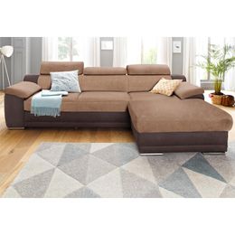 Sit & More sit&more Ecksofa &raquo;Xenia L-Form&laquo; wahlweise mit Schlaffunktion braun Luxus-Microfaser ALTARA NUBUCK (100% Polyester) / Struktur (100% Polyester);Luxus-