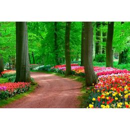 papermoon Fototapete &raquo;Tulips Spring Landscape&laquo; glatt bunt Vlies B/L: 2,5m x 1,86m, Bahnen: 5 Stk.