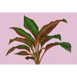Livingwalls living walls Fototapete &raquo;Walls by Patel Leaf Garden&laquo; glatt Vlies, Wand lila Vlies B/L: 4m x 2,7m