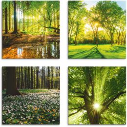 Artland Leinwandbild &raquo;Wald Bach Fr&uuml;hling Windrosen Sonne Baum&laquo; Wald 4 Stk. tlg. 4er Set, verschiedene Gr&ouml;&szlig;en gr&uuml;n Leinwand, MDF B/H/T: 30cm x 30cm, 
