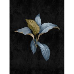 Livingwalls living walls Fototapete &raquo;Walls by Patel Fiji&laquo; glatt Vlies, Wand schwarz Vlies B/L: 2m x 2,7m
