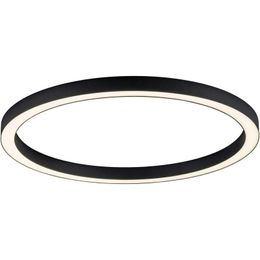 Neuhaus PURE LED Deckenleuchte &raquo;PURE Lines Round&laquo; LED-Board 1 Stk. warmwei&szlig; - kaltwei&szlig; Stufenlos dimmbar &uuml;ber Fernbedienung, CCT schwarz-wei&szlig; 1, &Oslash; 