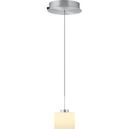 HELL h&ouml;llisch gutes Licht LED Pendelleuchte &raquo;ABBY&laquo; LED-Modul 1 Stk. Warmwei&szlig; B-Link Fernbedienung, Stufenlos h&ouml;henverstellbar 1, &Oslash; 26cm, 1 Stk.