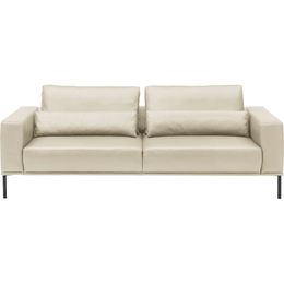 Musterring 3-Sitzer &raquo;JustB!PM100, 242 cm breit, aus hochwertigem Leder&laquo; XL-Sofa, wahlweise mit Nierenkissen und mot. Sitzauszug, Fu&szlig; schwarz beige 100% Leder B/H