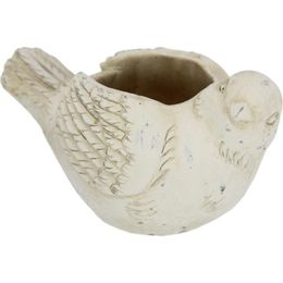 I.GE.A. Pflanzk&uuml;bel &raquo;Zement-Pflanztopf Vogel&laquo; K&uuml;bel Blumenk&uuml;bel Pflanzgef&auml;&szlig; f&uuml;r Sukkulenten Gartendeko Terrassendeko beige Beton B/H/T: 22cm x 11cm