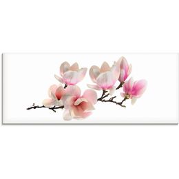Artland Glasbild &raquo;Magnolie&laquo; Blumen 1 Stk. tlg. in verschiedenen Gr&ouml;&szlig;en pink B/H/T: 125cm x 50cm, Glasbild Blumen, 1 Stk.