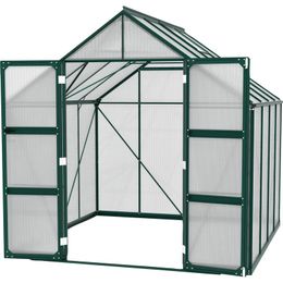 Vitavia Gew&auml;chshaus &raquo;Domus 6700&laquo; mit Doppelschwingt&uuml;ren und bodentiefer T&uuml;rschwelle, 6 mm Hohlkammer gr&uuml;n B/H/T: 257cm x 253,9cm x 263cm