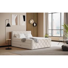 COTTA Boxspringbett &raquo;Tower inkl. Bettkasten, mit Keder in abgesetzter Farbe&laquo; in verschiedenen Breiten, H&auml;rtegraden und Farben erh&auml;ltlich 100% 