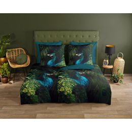 Good Morning Wendebettw&auml;sche &raquo;Coburg&laquo; 2 Stk. 100% Baumwolle, Renforc&eacute;, Rei&szlig;verschluss, Wendeoptik, Pfau, Gr&uuml;n Petol blau Renforc&eacute;, Obermaterial: 100% 