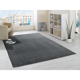 OCI DIE TEPPICHMARKE Hochflor-Teppich &raquo;Soft Dream, auch als L&auml;ufer erh&auml;ltlich&laquo; quadratisch 30 mm H&ouml;he weich durch Microfaser, Shaggy, Langflor, 