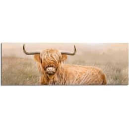 Reinders Deco-Panel &raquo;Hochlandrind&laquo; beige Holzwerkstoff B/H/T: 156cm x 52cm x 2cm