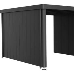 BioHort Ger&auml;tehaus-Seitenwand f&uuml;r Seitendach von Neo 4A-4D grau Stahlblech B/H/T: 315cm x 200cm x 4,3cm