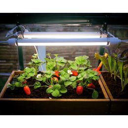 LED Gartenleuchte &raquo;Brighton&laquo; LED-Modul Neutralwei&szlig; LED-UV-Wachstumslicht f&uuml;r Gew&auml;chsh&auml;user wei&szlig; H: 4cm