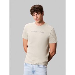 Calvin Klein Jeans Herren T-Shirt &raquo;SS 30s E CLVN LN 3D&laquo; Mit Rundhalsausschnitt grau XXL