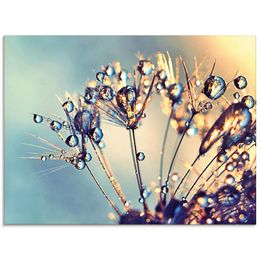 Artland Glasbild &raquo;Pusteblume Glitzertau&laquo; Blumen 1 Stk. tlg. in verschiedenen Gr&ouml;&szlig;en blau B/H/T: 60cm x 45cm, Glasbild Blumen Querformat, 1 Stk.
