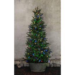 Eglo LED-Lichterkette &raquo;SERIE LED - Weihnachtsdeko - Beleuchtung - Winterdeko&laquo; 160 Stk.-flammig Beleuchtung f&uuml;r innen und au&szlig;en, buntes Lichternetz mit