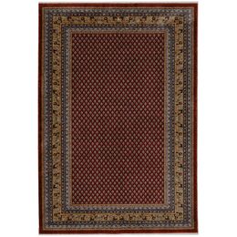 Theko Teppich &raquo;Mir&laquo; rechteckig 10 mm H&ouml;he Kurzflor, Orient-Optik, mit Bord&uuml;re & Fransen, pflegeleicht bunt Polyester B : 60cm 1 Stk., 10mm, L: 130cm