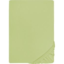 Biberna Spannbettlaken &raquo;THEA Baumwoll-Jersey mit Elasthan, 160 g/m&sup2;&laquo; Bettlaken f&uuml;r Matratzen bis 25 cm H&ouml;he, pflegeleicht, b&uuml;gelfrei gr&uuml;n Jersey-Elasthan, 