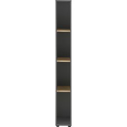 Home Affaire Aktenregal &raquo;CiTY/GiRON&laquo; grau Holzwerkstoff B/H/T: 20cm x 158cm x 40cm, offene F&auml;cher