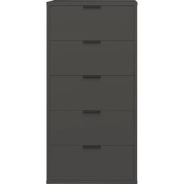 M&auml;usbacher Kommode &raquo;Bonnie&laquo; Kommode mit 5 Schubk&auml;sten grau Holzwerkstoff B/H/T: 51cm x 108cm x 45cm, 5 Stk.