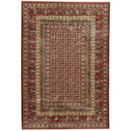 Theko Teppich &raquo;Beatrice GF-137&laquo; rechteckig 10 mm H&ouml;he Kurzflor, Orient Optik, mit Bord&uuml;re & Fransen, Wohnzimmer bunt Polyester B : 240cm 1 Stk., 10mm,