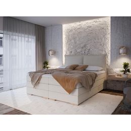 FORTE Boxspringbett &raquo;Pillows mit Bettkasten, erh&auml;ltlich in den Breiten 140, 160 & 180cm&laquo; in verschiedenen Farben erh&auml;ltlich Der Bezugsstoff Baltimore 