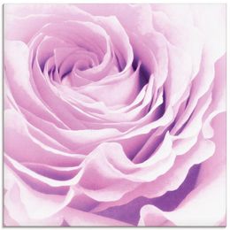 Artland Glasbild &raquo;Pastell Rose&laquo; Blumen 1 Stk. tlg. in verschiedenen Gr&ouml;&szlig;en pink B/H/T: 30cm x 30cm, Glasbild Blumen quadratisch, 1 Stk.