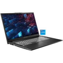 Captiva Business-Notebook &raquo;Power Starter I99-225CH&laquo; 43,9 cm / 17,3 &prime;&prime; Intel Core i5 Iris Xe Graphics 1.000 GB SSD schwarz ohne Windows, Schweizer 