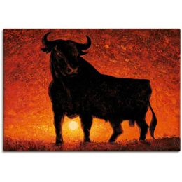 Artland Leinwandbild &raquo;Andalusischer Stier&laquo; Wildtiere 1 Stk. tlg. auf Holzrahmen gespannt rot Leinwand B/H/T: 70cm x 50cm, Leinwandbild Wildtiere Querformat, 1