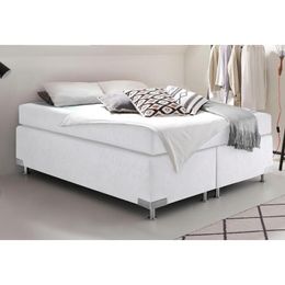 Westfalia Schlafkomfort Boxspringbett &raquo;Holland&laquo; ohne Kopfteil, frei im Raum stellbar wei&szlig; Microvelours (100% Polyester) Microvelours Ohne Topper, Liegefl&auml;che B/L: 140cm x 