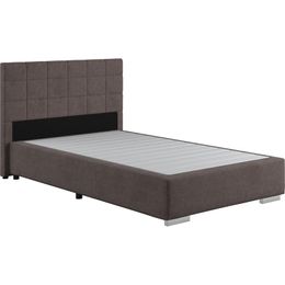 COTTA Boxspringbett &raquo;Simba in verschiedenen Farben und Breiten erh&auml;ltlich, ohne Matratze&laquo; Bezugsstoff: Struktur fein braun Polyester Struktur fein 