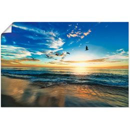 Artland Wandbild &raquo;Strand M&ouml;wen Meer Sonnenuntergang&laquo; Sonnenaufgang & -untergang 1 Stk. tlg. als Leinwandbild, Poster in verschied. Gr&ouml;&szlig;en blau B/H/T: 120cm x 