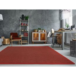 Dekowe Sisalteppich &raquo;Mara S2 mit Bord&uuml;re&laquo; rechteckig 5 mm H&ouml;he Flachgewebe, Material: 100% Sisal, Wohnzimmer, Kundenliebling rot Sisal B : 240cm 1 Stk., 5mm,