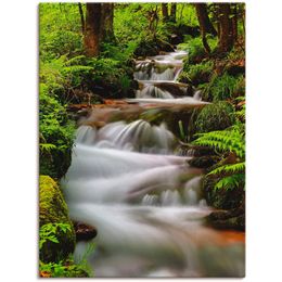 Artland Leinwandbild &raquo;Schwarzwaldbach&laquo; Gew&auml;sser 1 Stk. tlg. auf Holzrahmen gespannt gr&uuml;n Leinwand B/H/T: 45cm x 60cm, Leinwandbild Gew&auml;sser Hochformat, 1 Stk.