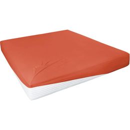 Primera Spannbettlaken &raquo;Elasthan-Feinjersey&laquo; PREMIUM, aus 95% gek&auml;mmter Baumwolle und 5% Elasthan, bis 28 cm H&ouml;he orange Jersey-Elasthan, Obermaterial: 95% 