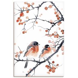 Artland Wandbild &raquo;Aquarell Gimpel&laquo; Vogelbilder 1 Stk. tlg. als Alubild, Leinwandbild, Poster, Wandaufkleber in verschied. Gr&ouml;&szlig;en bunt Leinwand B/H/T: 60cm x 