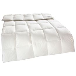 Ribeco Daunenbettdecke &raquo;Eve Bettdecke in 135x200 und 155x220cm und weiteren Gr&ouml;&szlig;en&laquo; normal F&uuml;llung 90Daunen10Federn 1 Stk. tlg. Topseller, Daunen und 