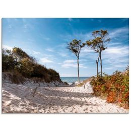 Artland Glasbild &raquo;Weststrand Darss&laquo; Strand 1 Stk. tlg. in verschiedenen Gr&ouml;&szlig;en blau B/H/T: 80cm x 60cm, Glasbild Strand Querformat, 1 Stk.