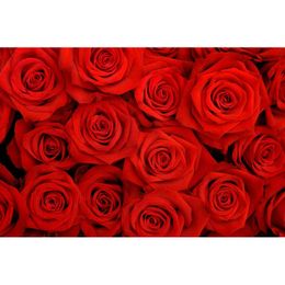 papermoon Fototapete &raquo;Red Roses&laquo; glatt bunt Vlies B/L: 3m x 2,23m, Bahnen: 6 Stk.