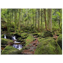Artland Glasbild &raquo;Zauberwald mit Bach&laquo; Wald 1 Stk. tlg. in verschiedenen Gr&ouml;&szlig;en gr&uuml;n B/H/T: 60cm x 45cm, Glasbild Wald Querformat, 1 Stk.