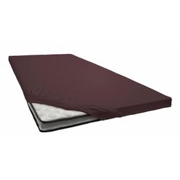 Primera Spannbettlaken &raquo;Elasthan-Feinjersey Topper&laquo; Aus 95% gek&auml;mmter Baumwolle und 5% Elastan braun Jersey-Elasthan, Obermaterial: 95% Baumwolle, 5% Elasthan